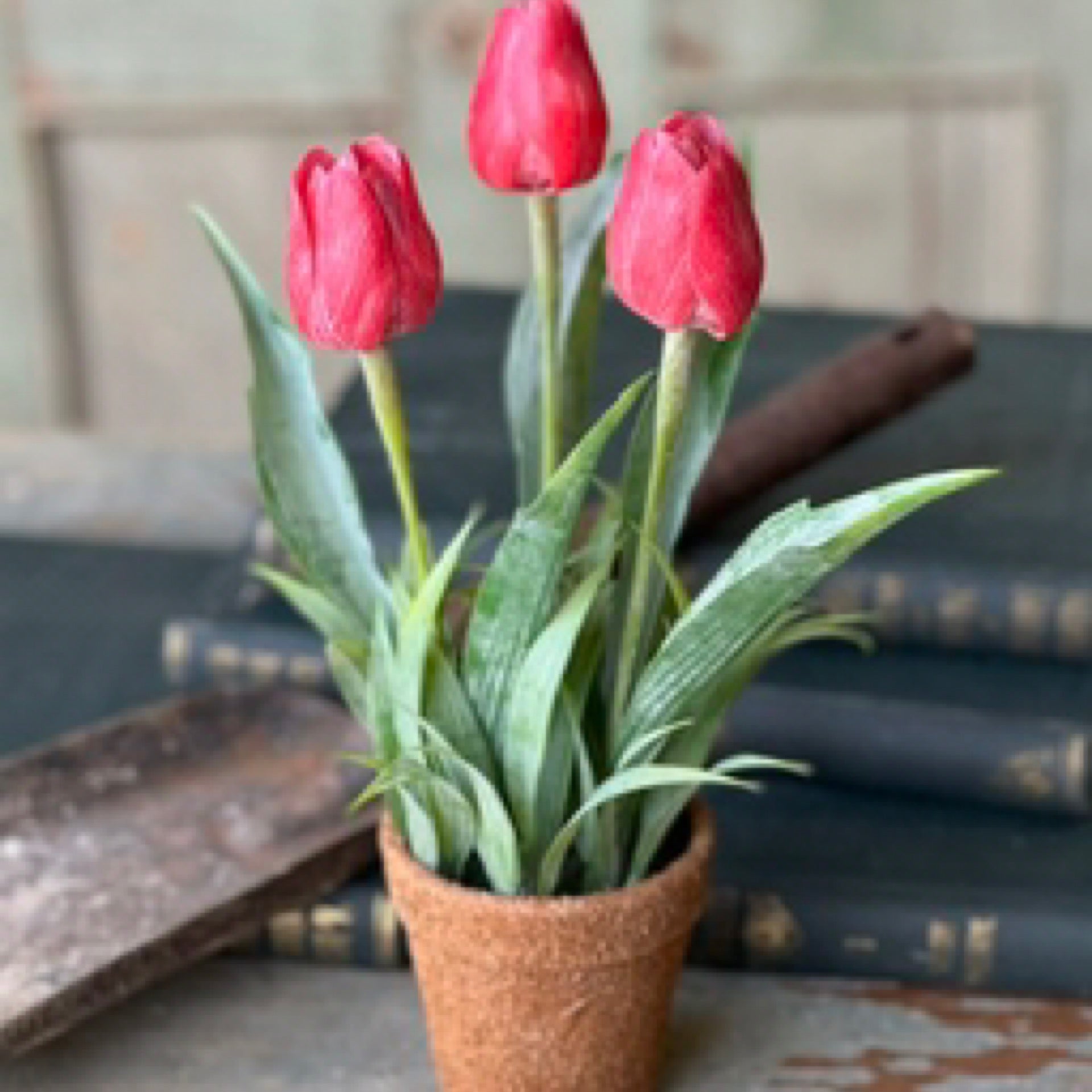 Holland Tulip Pot | Timber & Fieldstone