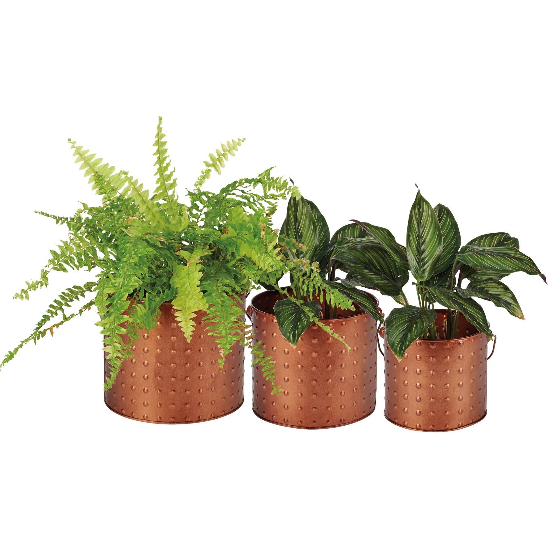 Copper Dots Bucket | Timber & Fieldstone