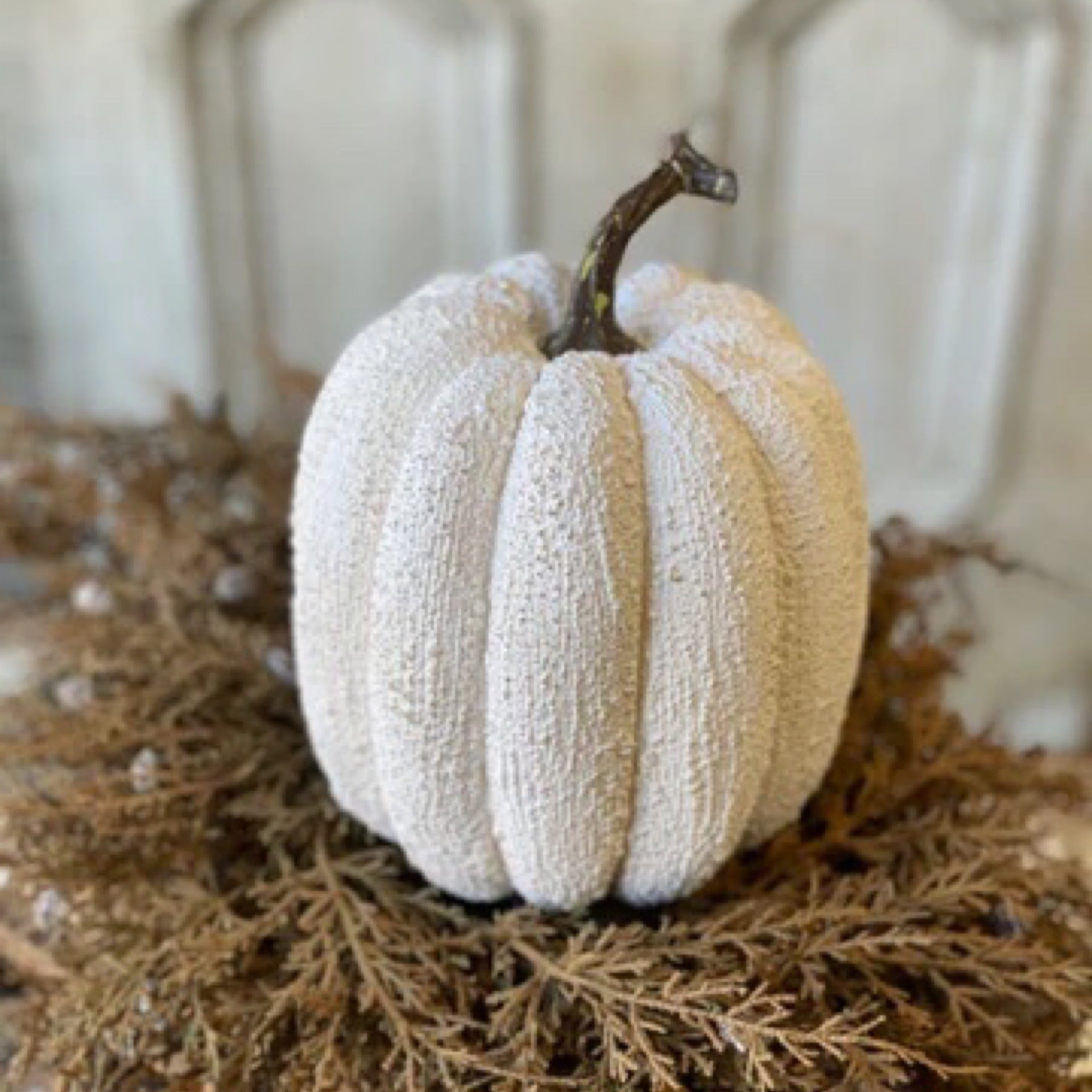 Full Moon Pumpkin | Timber & Fieldstone