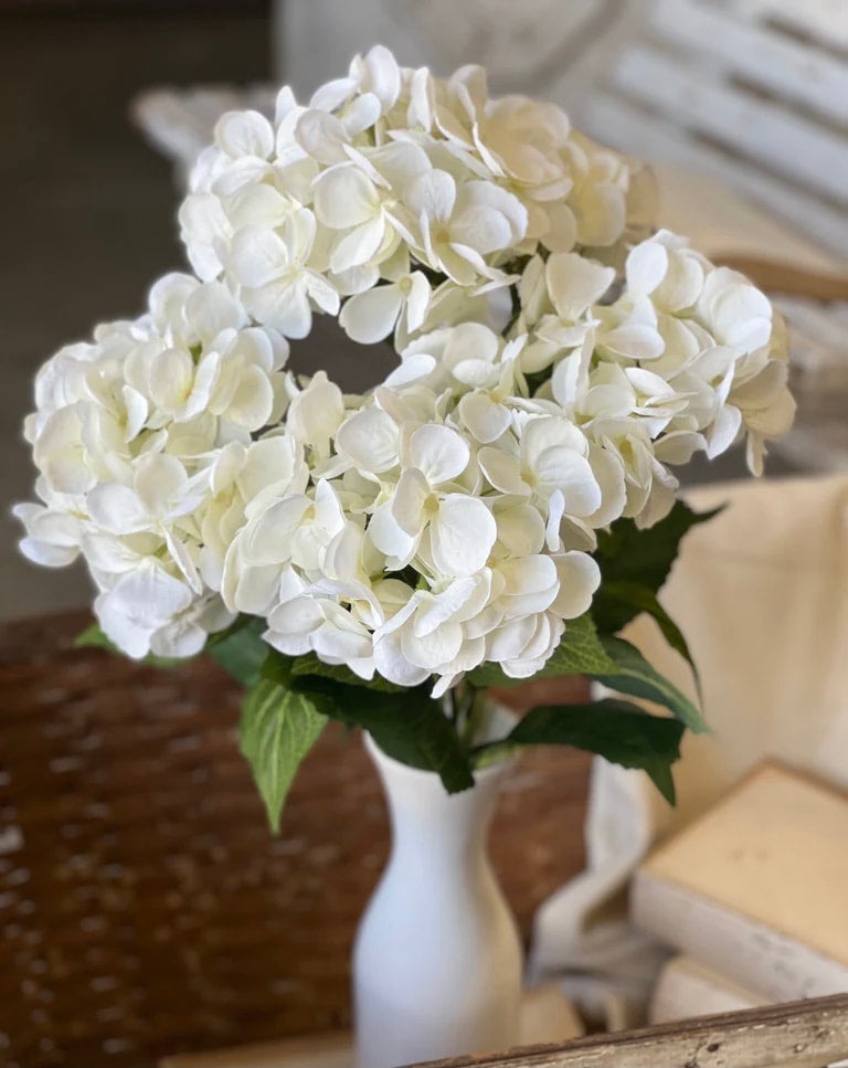 Encore Hydrangea | Timber & Fieldstone